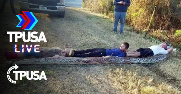 Record 16-Foot Python Captured :TPUSA