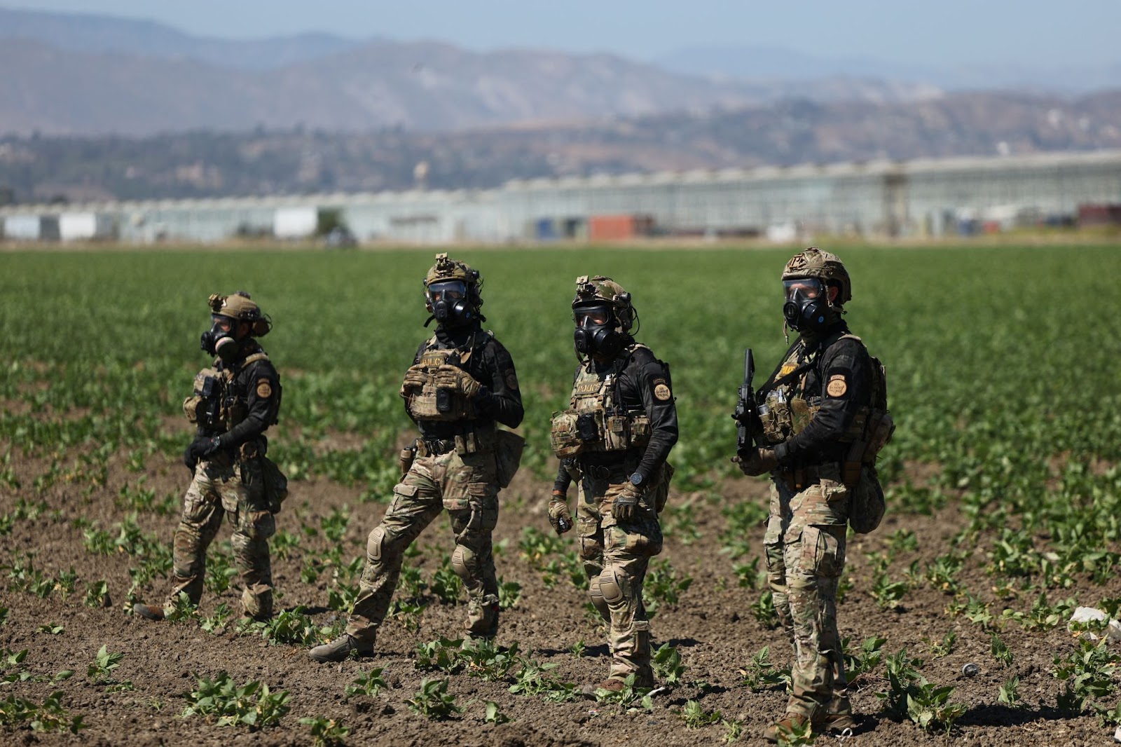 ICE Ends Age Limit Requirement for Employment - TPUSA :TPUSA